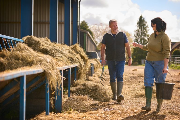 About Us - Future Feeds