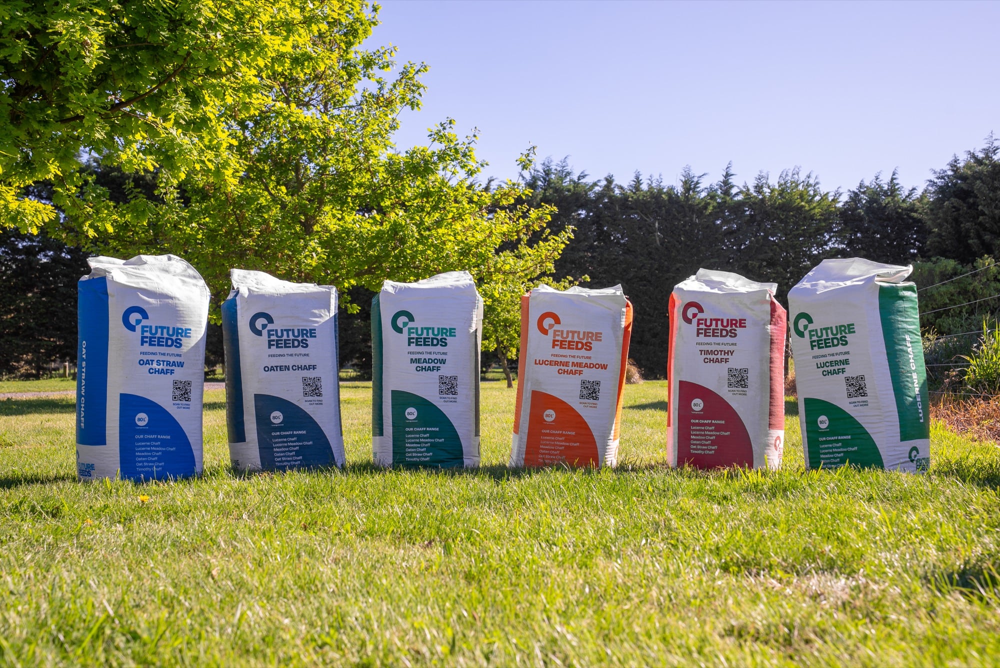 Lucerne vs Oaten vs Timothy Chaff: Which One Should You Feed? - Future ...